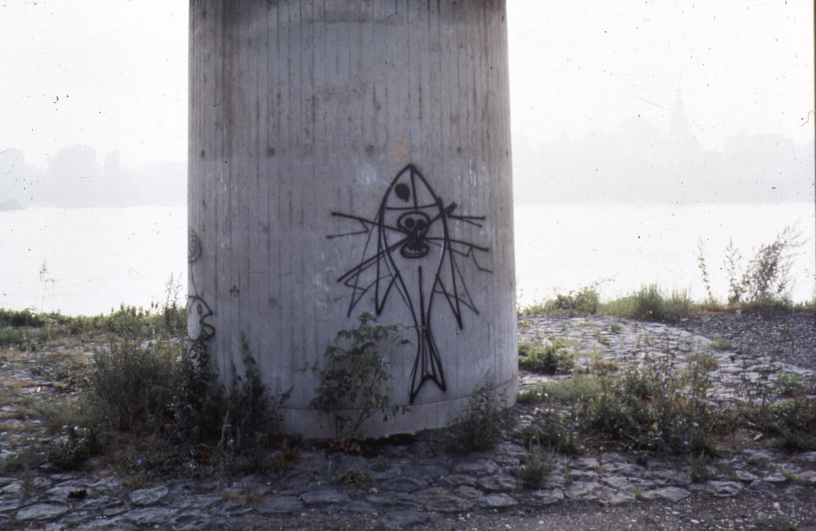 Harald Naegeli Stiftung — Biographie